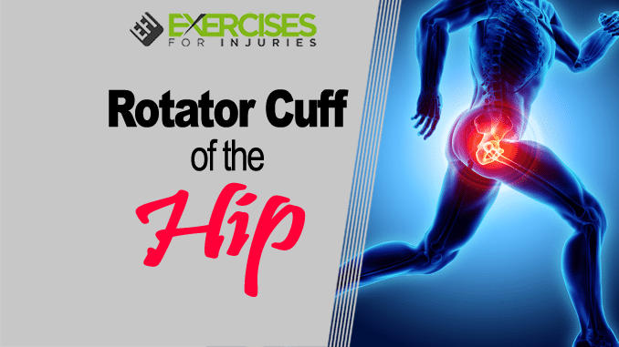 Rotator Cuff of the Hip - Exercises For Injuries
