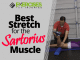 3 Quick Exercises to Strengthen the Lumbar Spine - Exercises For Injuries