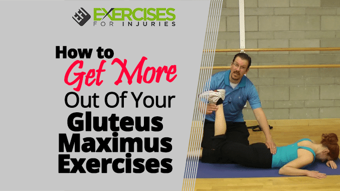 How to Get More Out Of Your Gluteus Maximus Exercises - Exercises For ...