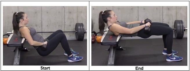 Hip Thrusts Exercise